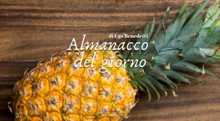Almanacco del 13 maggio. E' la giornata dell'ananas
